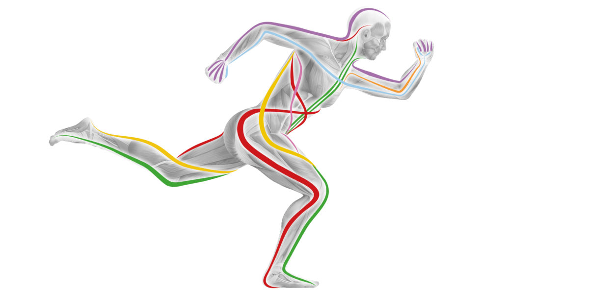 Statische Beschwerden? • Naturheilpraxis
