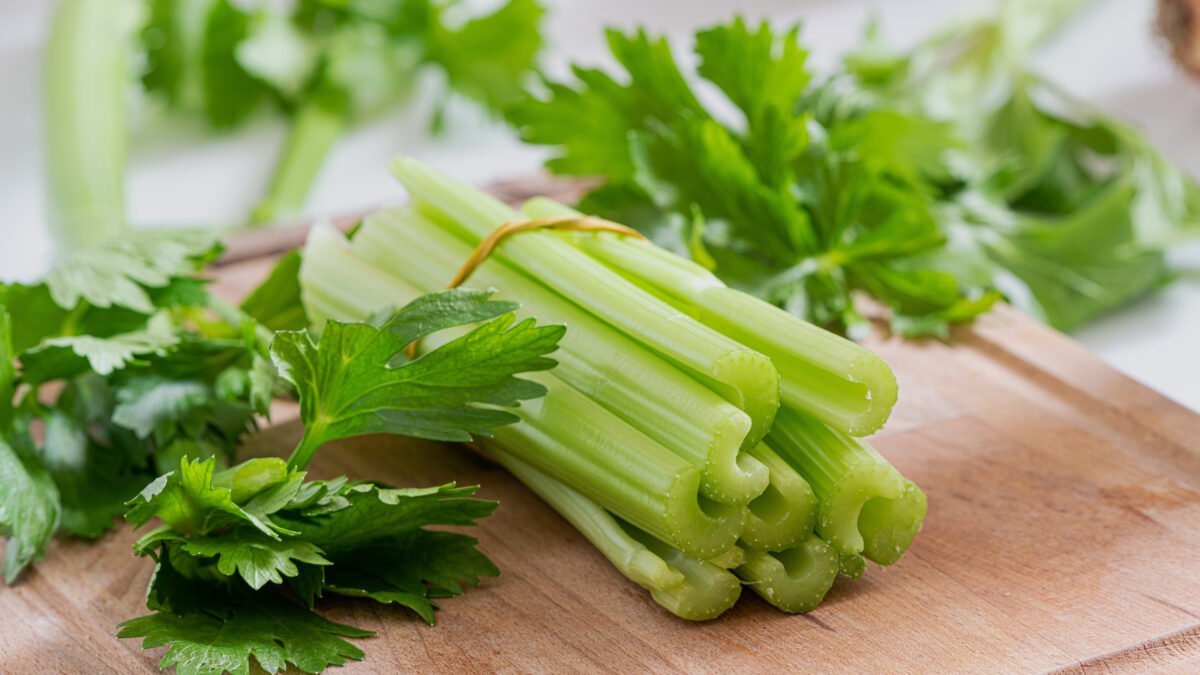 Der Stangensellerie – ein Porträt • Naturheilpraxis