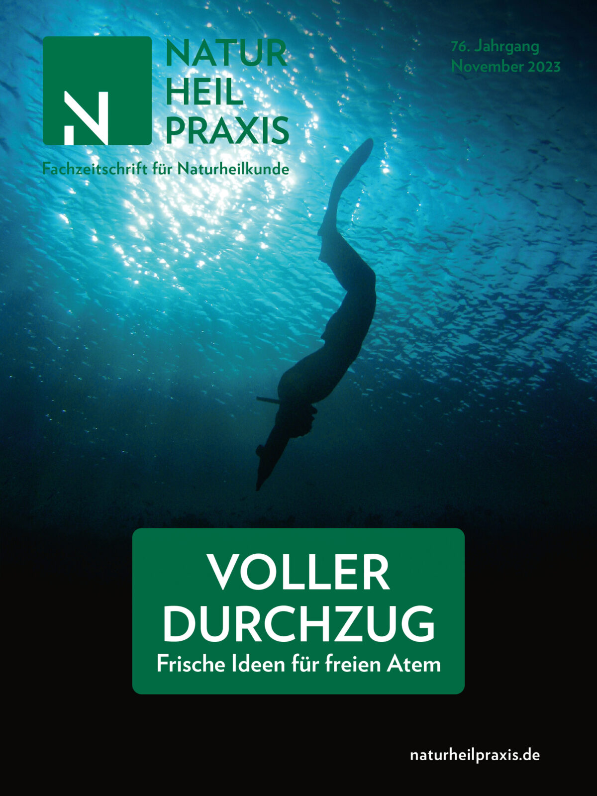 Irisdiagnose und Depression • Naturheilpraxis